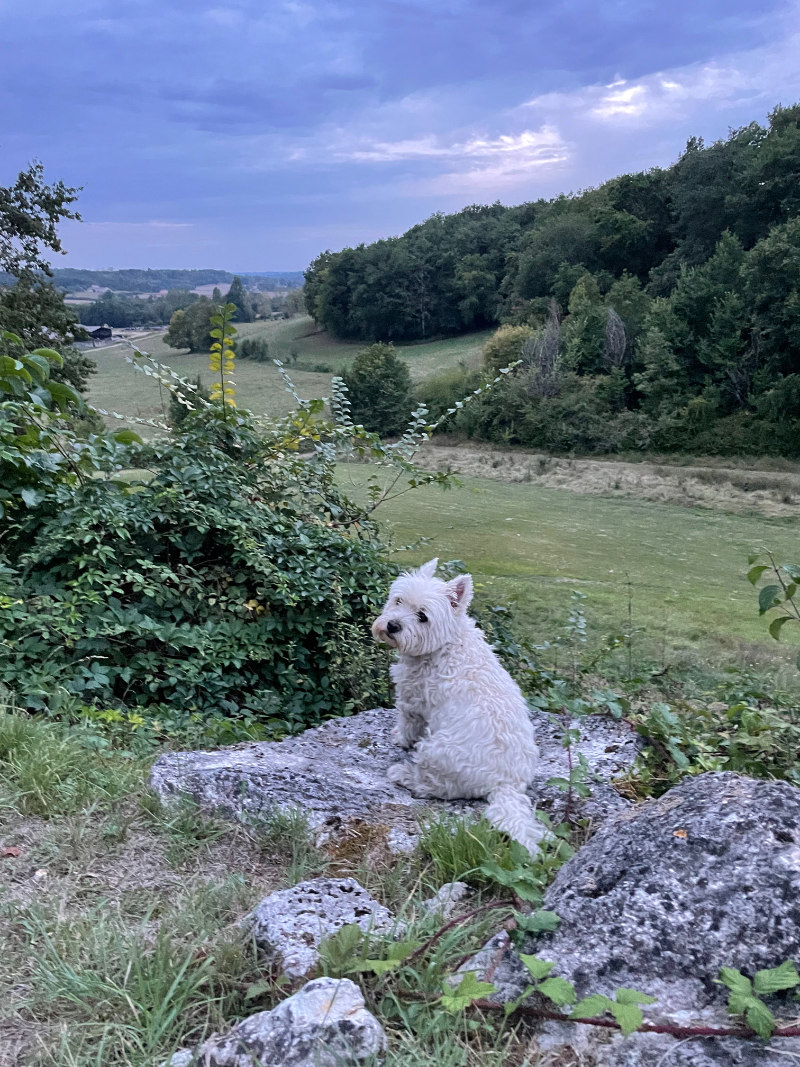 Description - Holiday cottage for 6 people with 29m long pool Eymet 24 ...